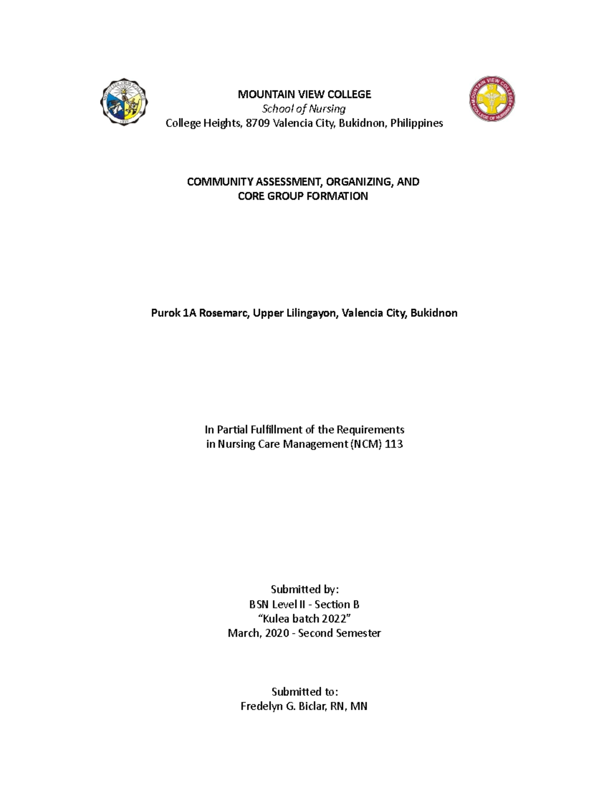 Community Organizing Participatory Action Research - MOUNTAIN VIEW ...