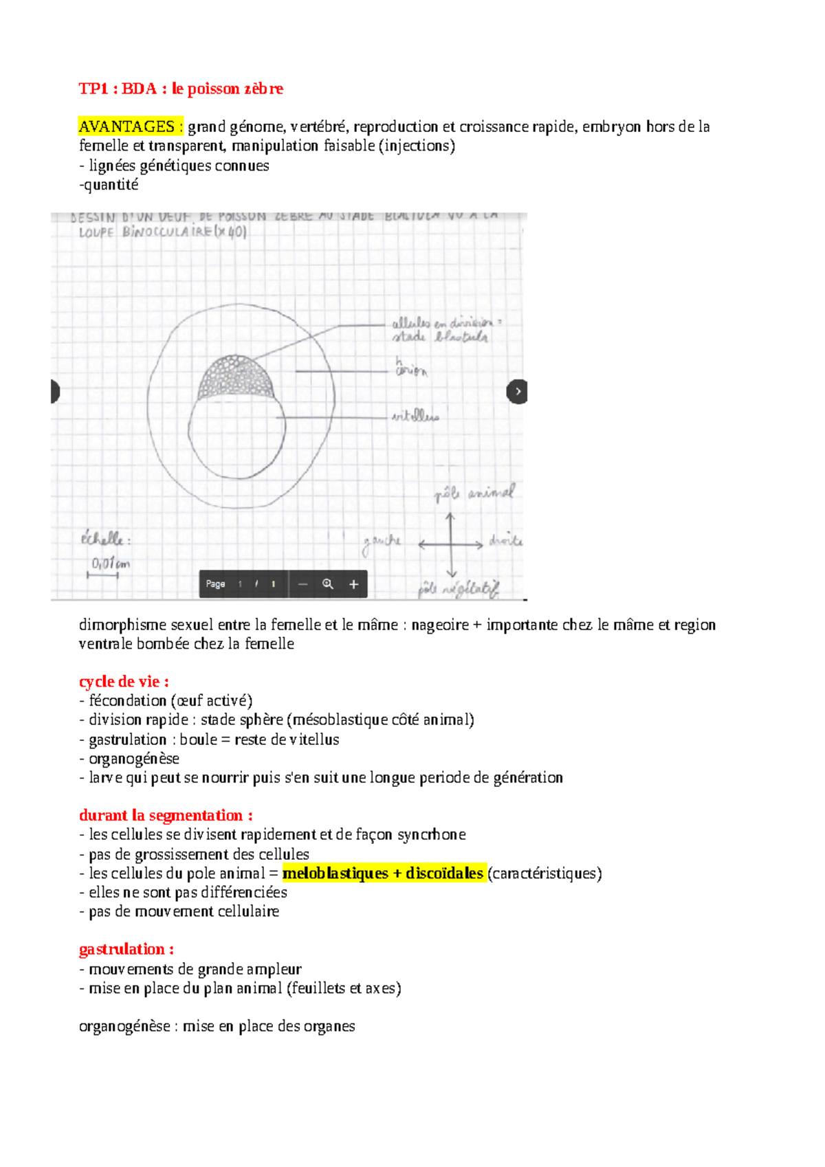 Fiche tps biologie developpement animal - TP1 : BDA : le poisson zèbre AVANTAGES : grand génome ...