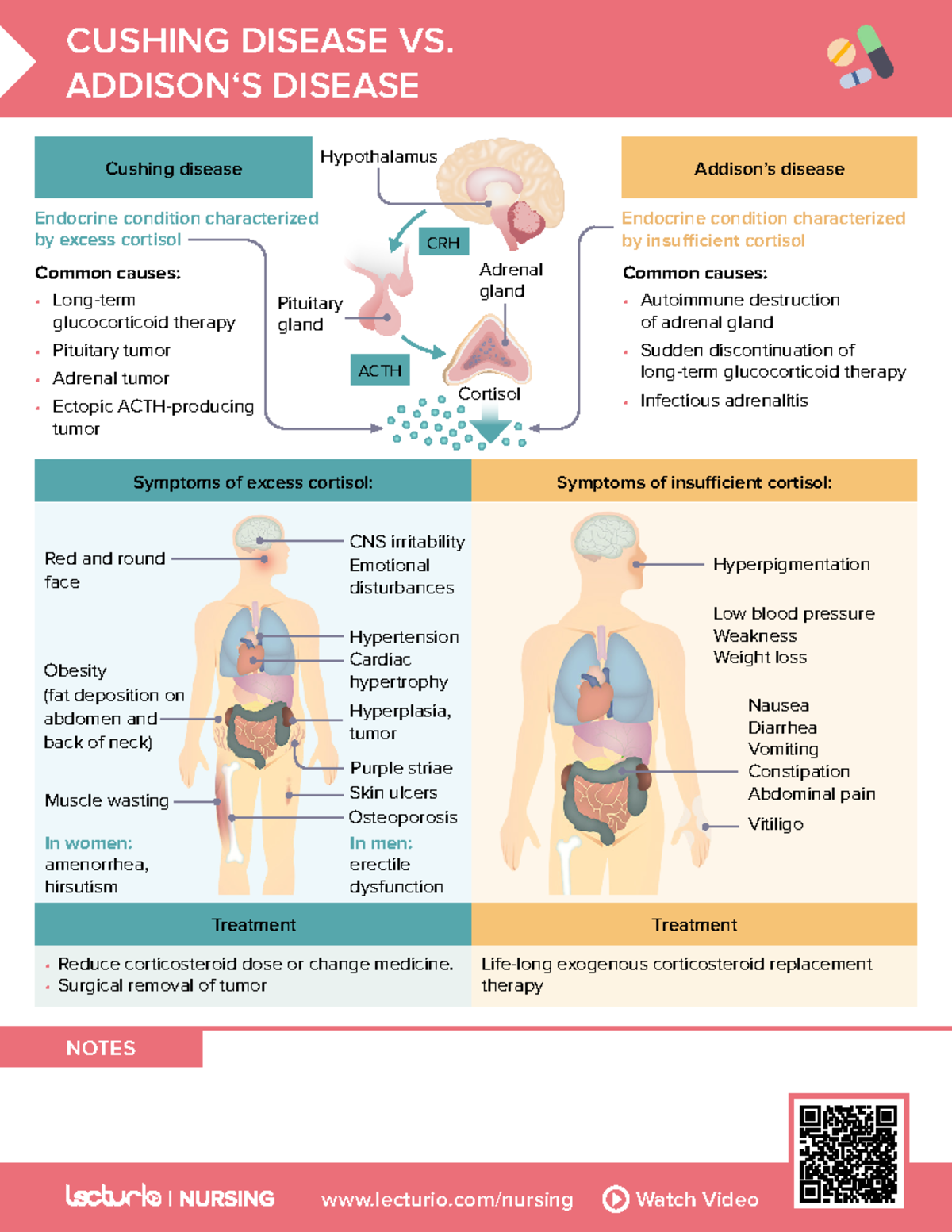 Nursing CS Cushings-Disease-vs-Addisonians-Disease 03 - lecturio ...