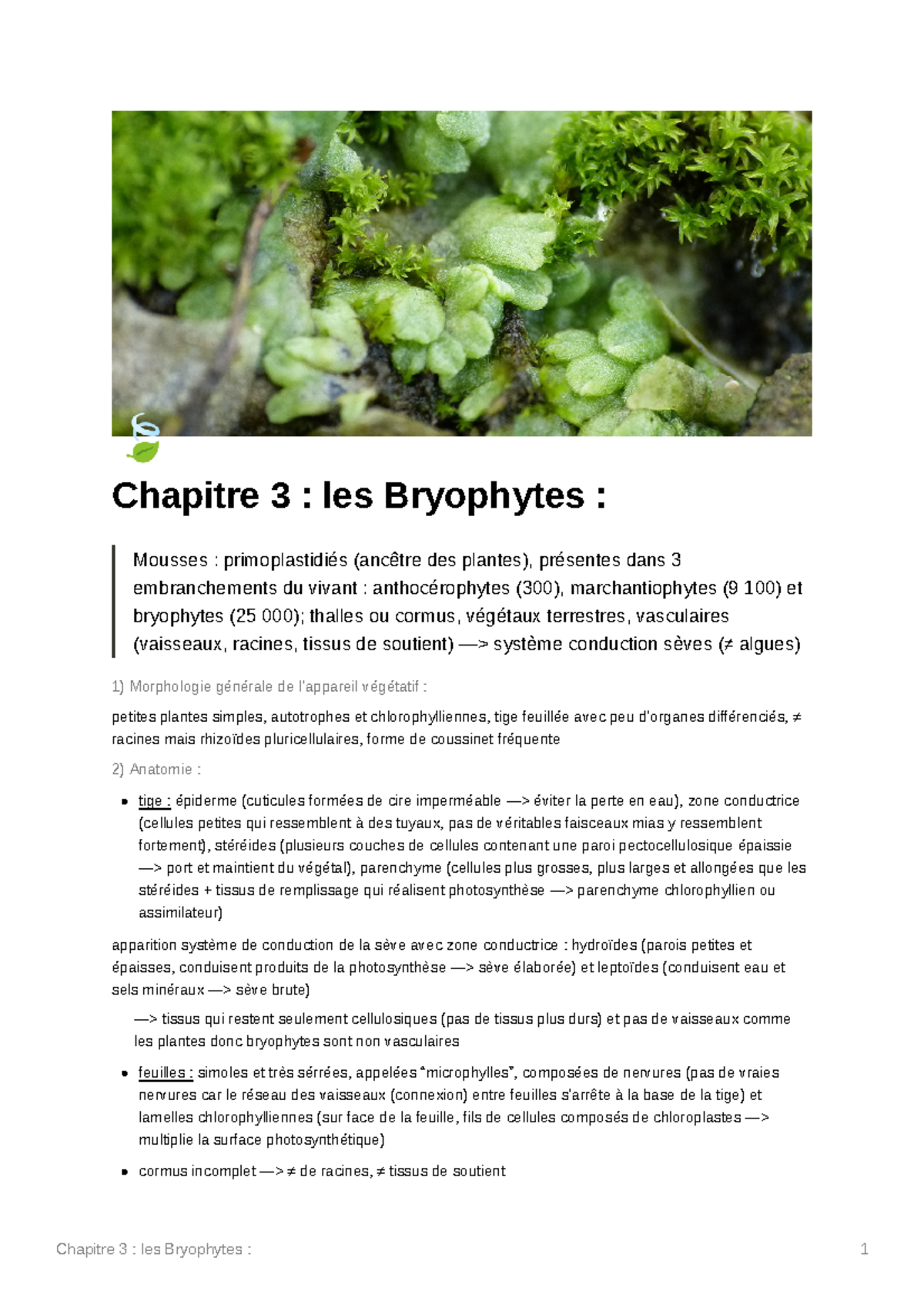 Chap. 3 Bryophytes - Chapitre 3 : les Bryophytes : 1 8 Chapitre 3 : les ...