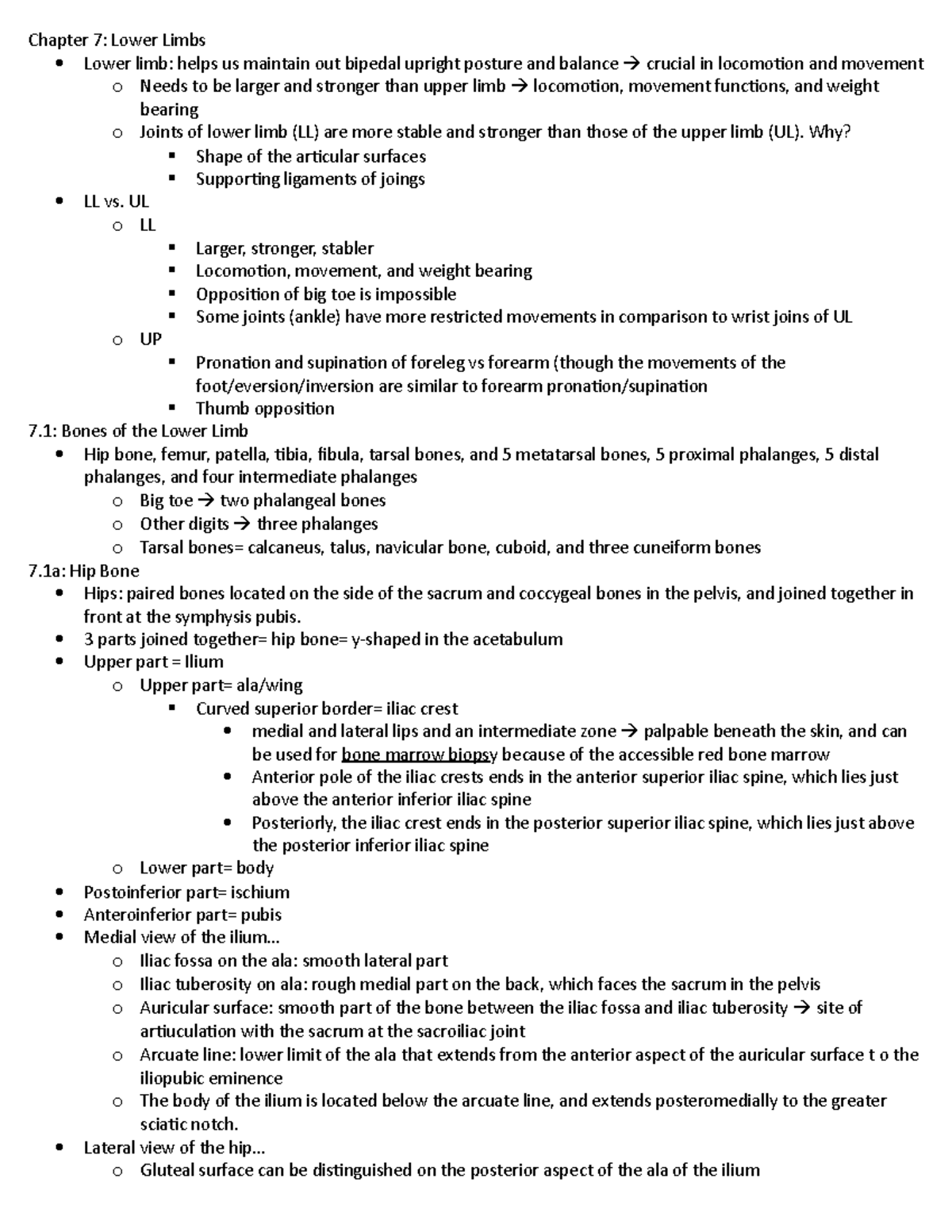 Anatomy ch 7 - Lower Limbs - Chapter 7: Lower Limbs Lower limb: helps ...