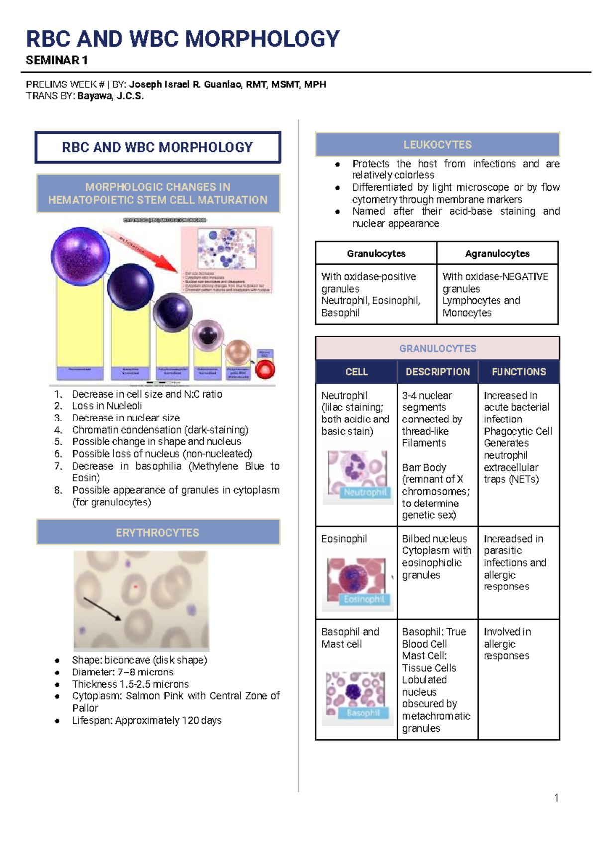 RBC AND WBC Morphology - RBC AND WBC MORPHOLOGY SEMINAR 1 PRELIMS WEEK # | BY: Joseph Israel R ...
