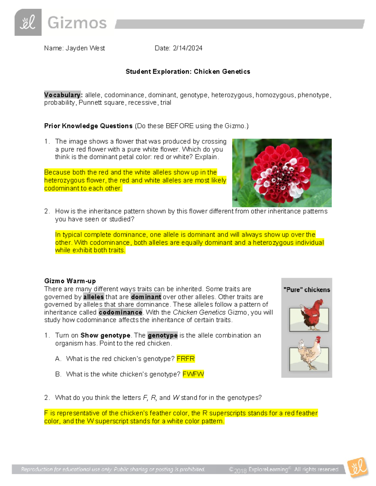 Chicken Genetics gizmo - Name: Jayden West Date: 2/14/ Student ...