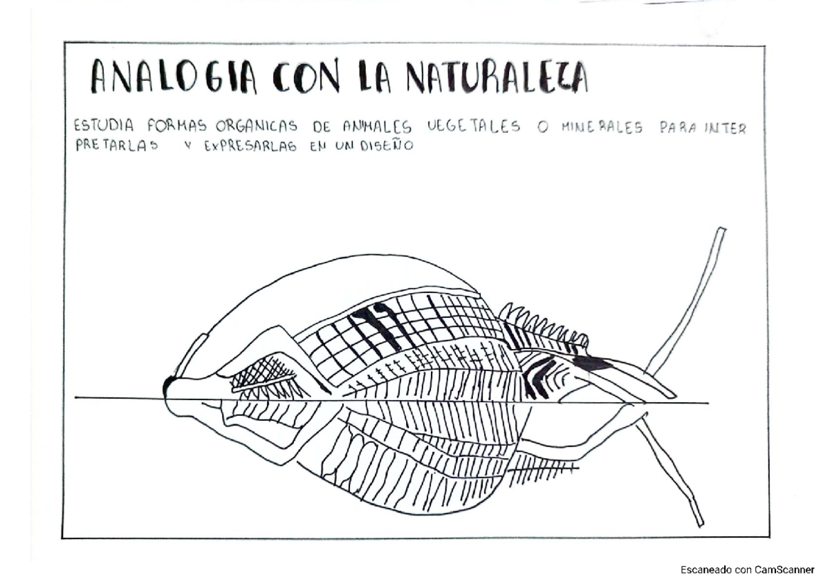 Deber 11 dibujos - introduccion al arte - Studocu