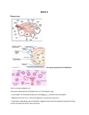 Ch 6-12 EXAM Objectives - 06 Genetics, Conception, and Fetal ...