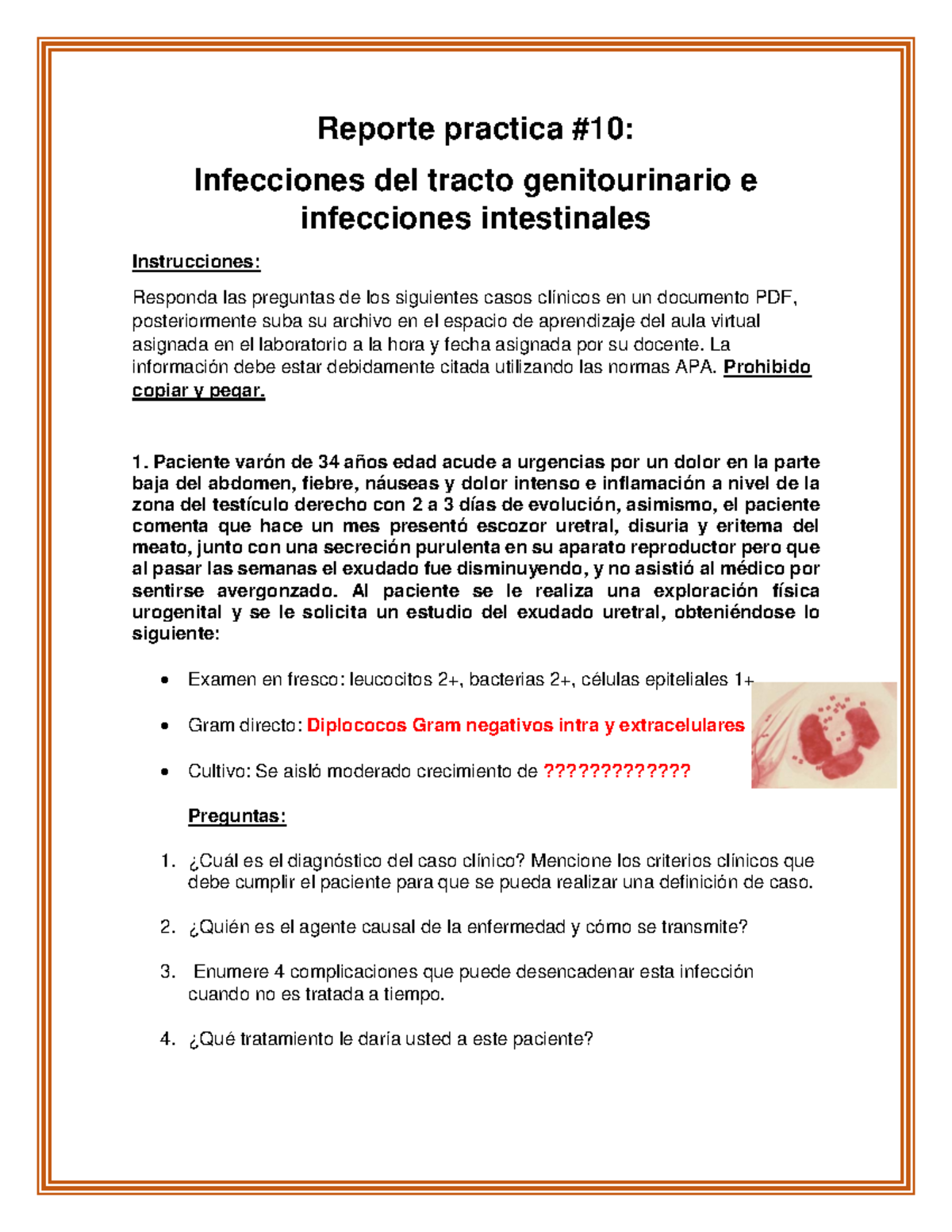 Reporte práctica - Reporte practica #10: Infecciones del tracto genitourinario e infecciones ...