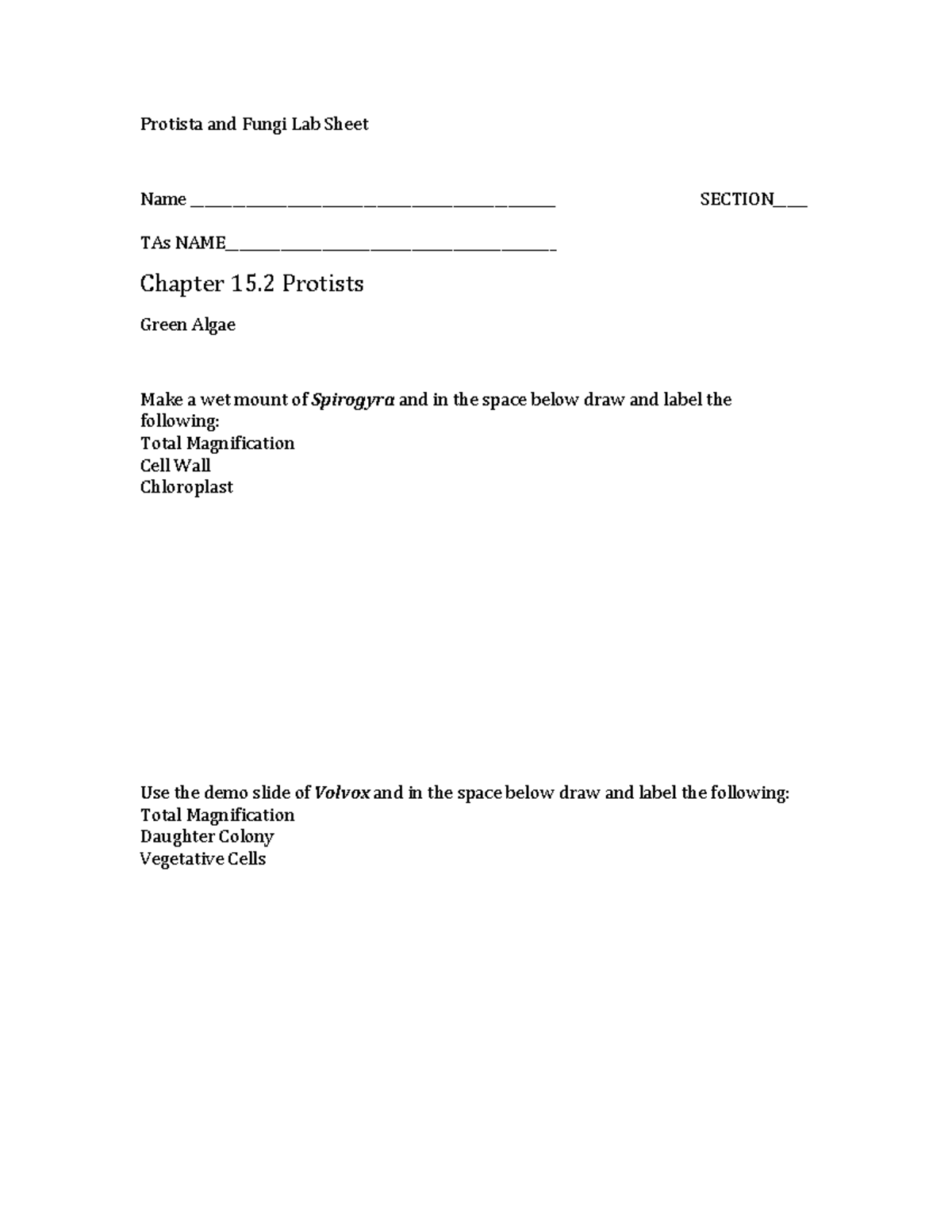 Lab 1 Protists & Fungi - Protista and Fungi Lab Sheet Name - Studocu