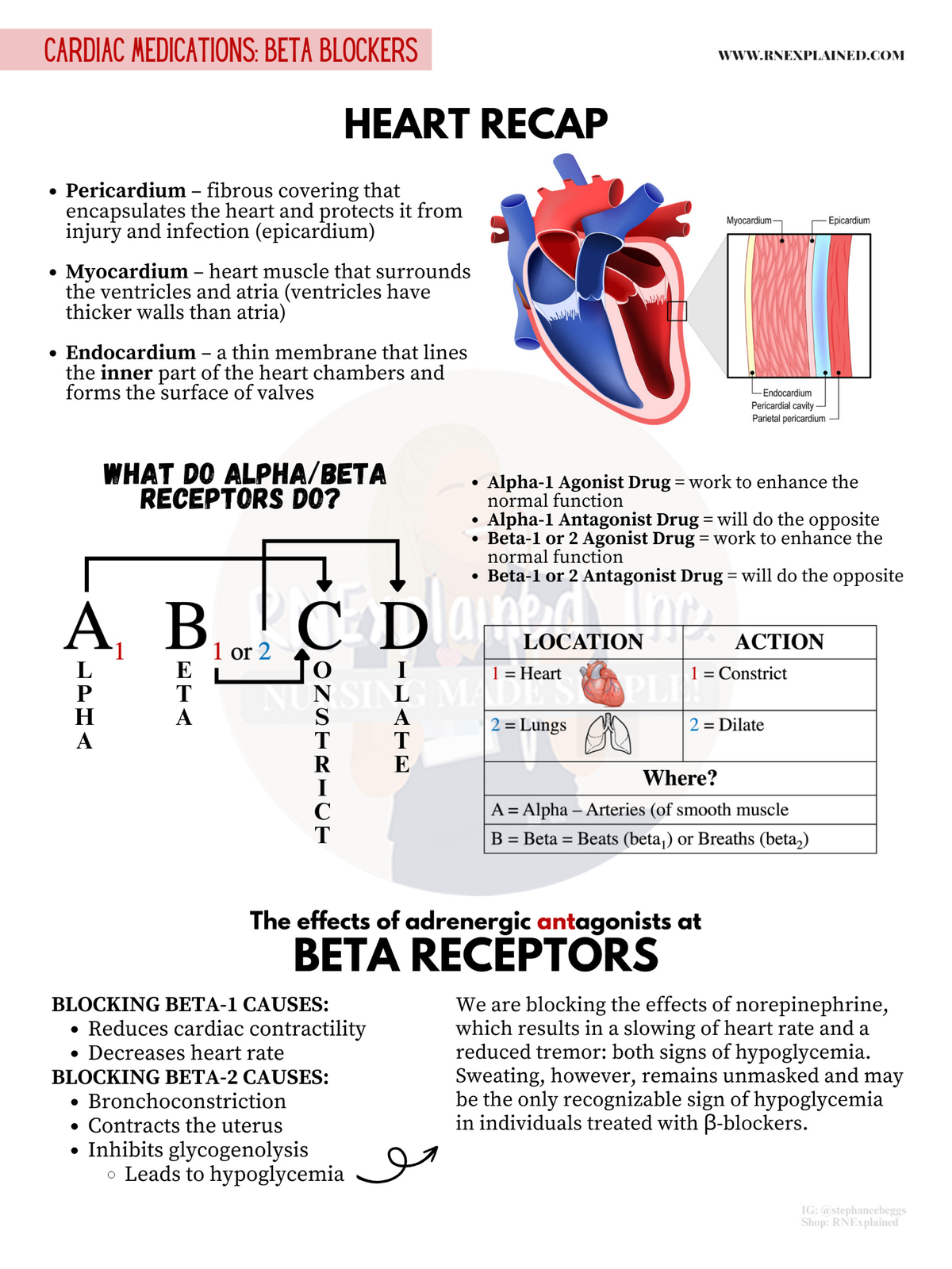 Beta Blocker Breakdown - NUR146 - Studocu