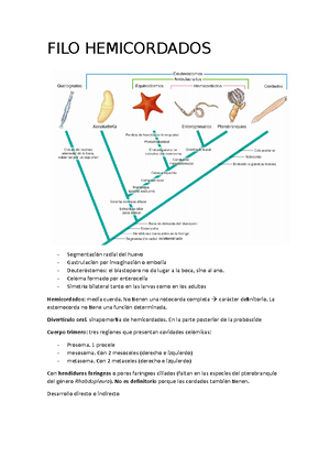 Filo Acanthocephala - FILO ACANTOCEPHALA Rotíferos y Acantocéfalos ...