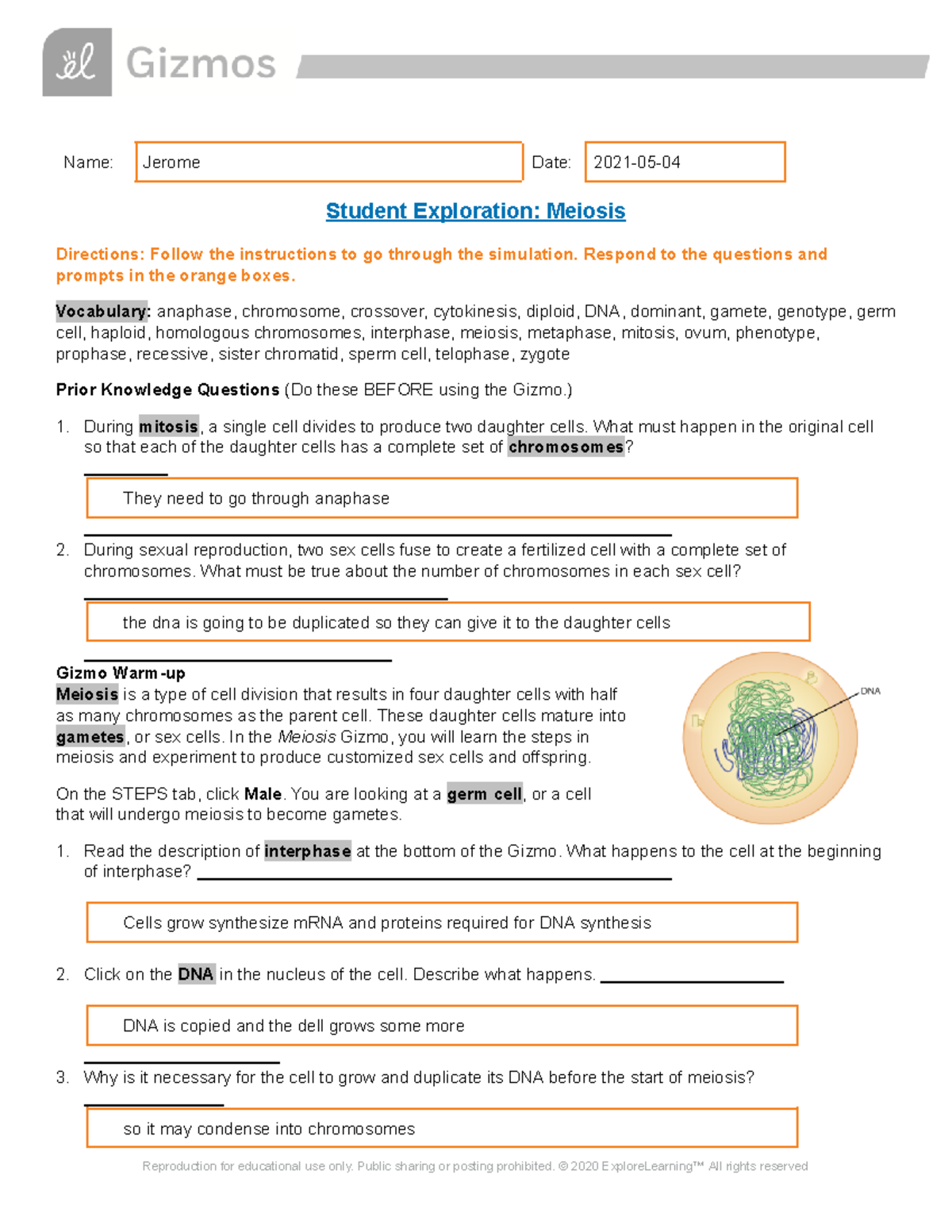 Copy of Meiosis SE - Evolution practice test ...