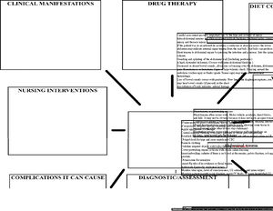 Irratable bowel syndrome concept map - WHAT CAN CAUSE IT Drug therapy ...