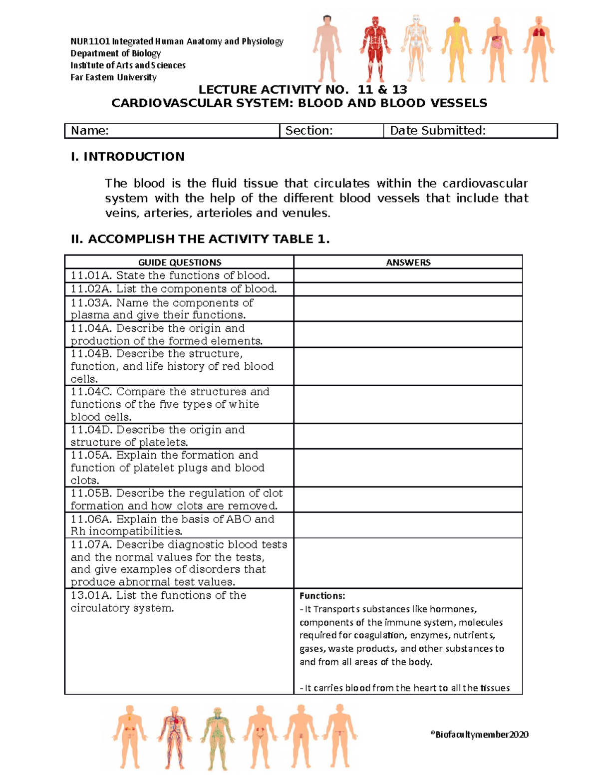 LEC Activity 11 AND 13 Blood Blood Vessel - Department of Biology ...