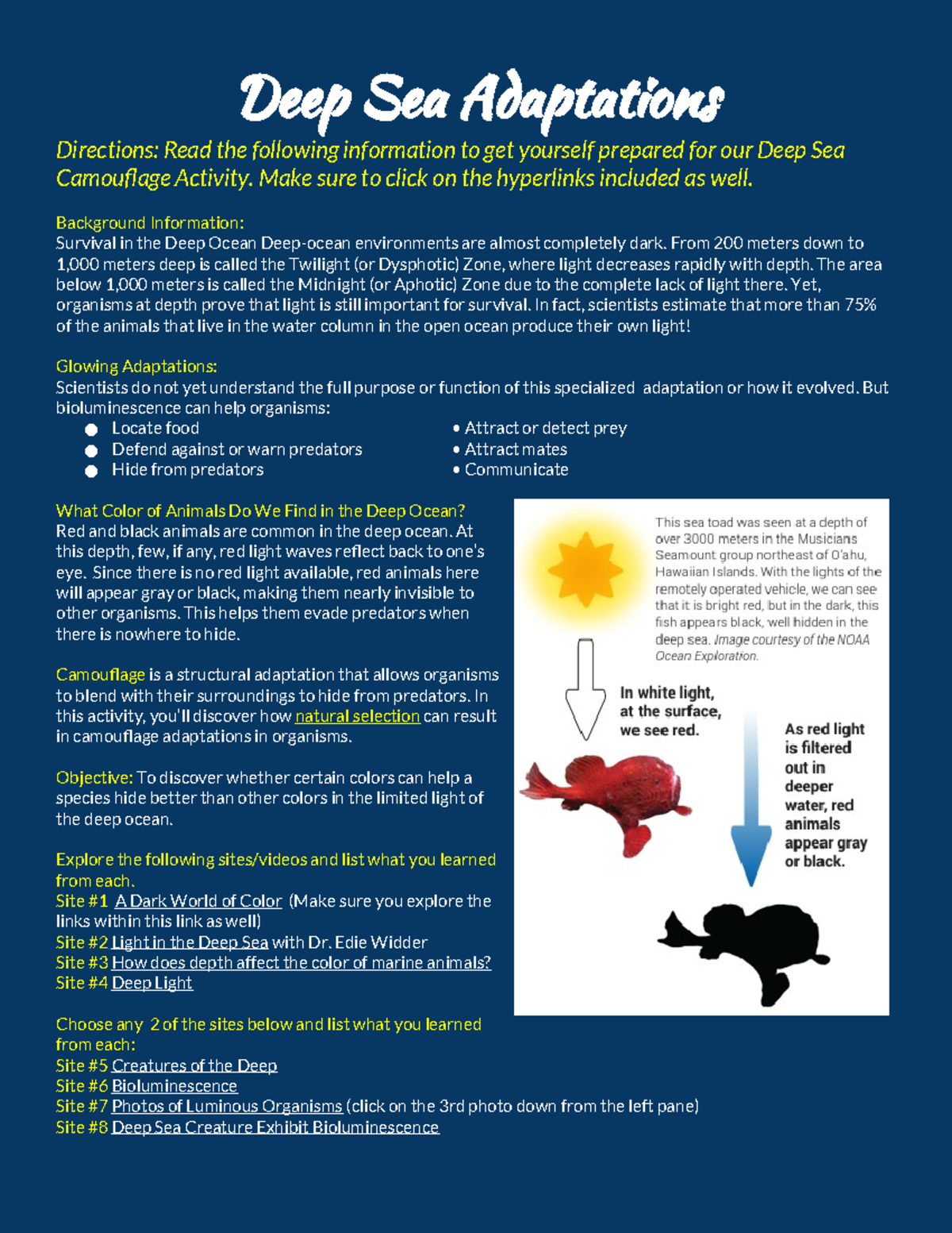Copy of Deep Sea Adaptations - Deep Sea Adaptations Directions: Read ...
