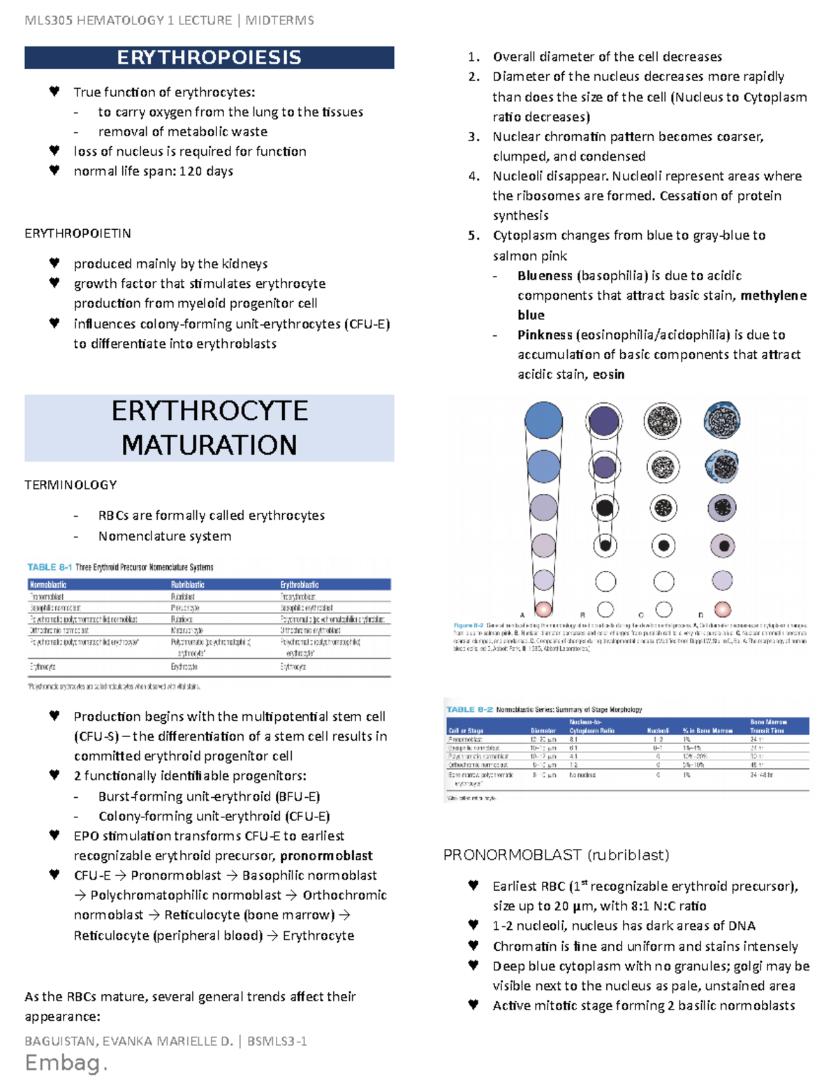 Hematology Lecture Midterms - ERYTHROPOIESIS True function of ...