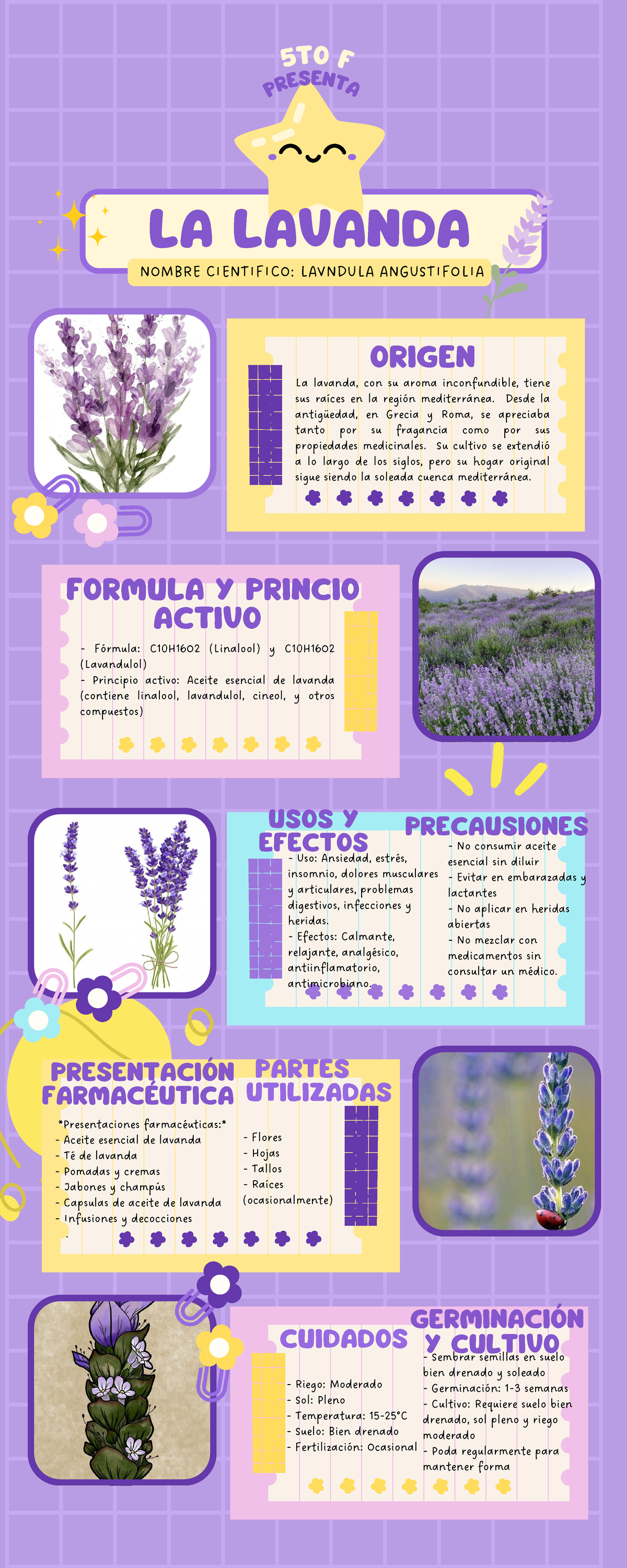 Infografía lluvia de ideas kawaii tierno morado 20241016 074216 0000 ...