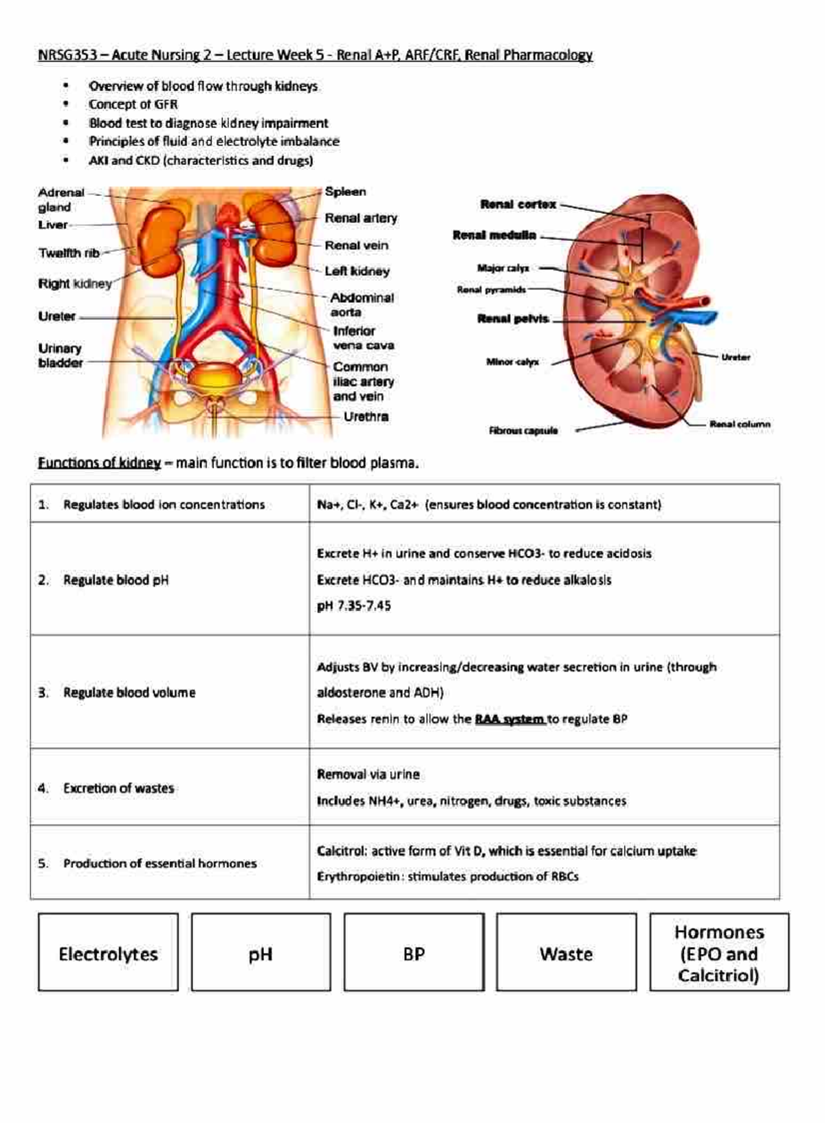 Week 5 - lec notes - NRSG353 -Acute Nursinf 2 - Lectun! Week S - Renal ...