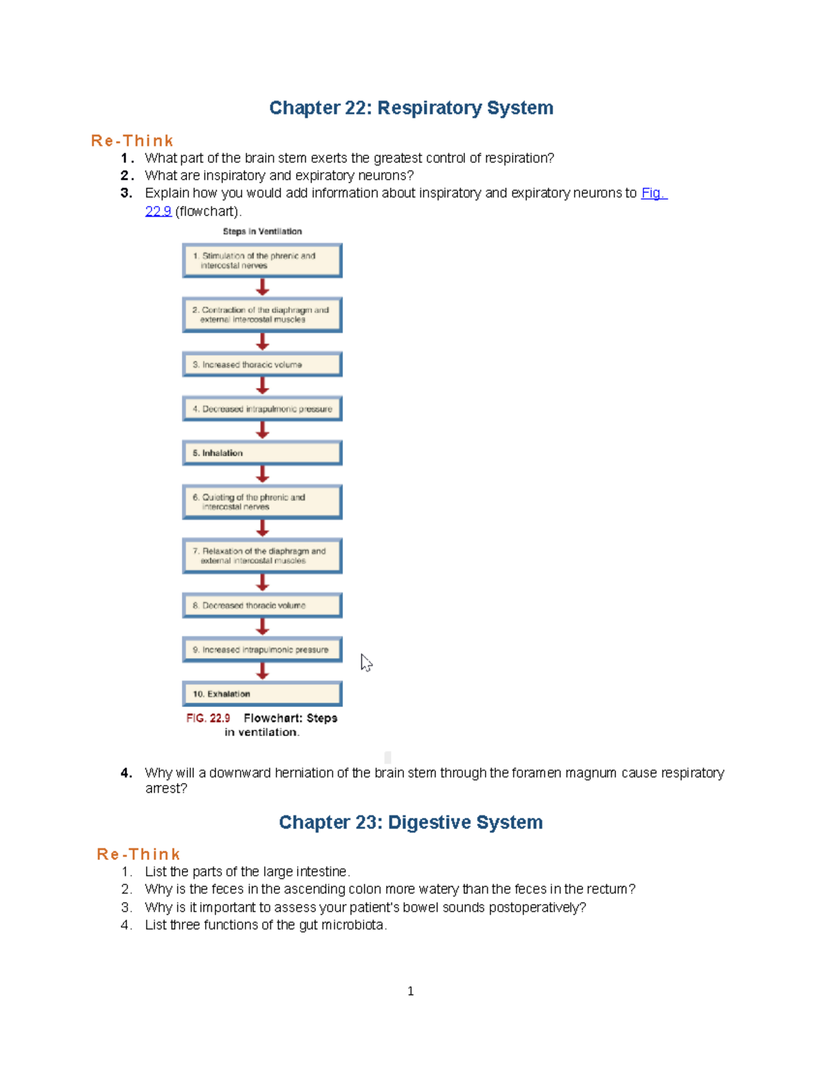 AHP106 Wk5 Assignment - Respiratory System - Chapter 22: Respiratory ...