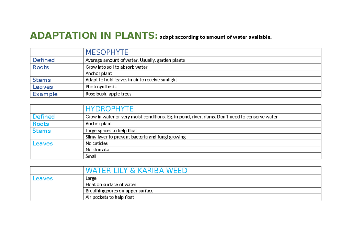 Adaptations of plants - ADAPTATION IN PLANTS: adapt according to amount ...