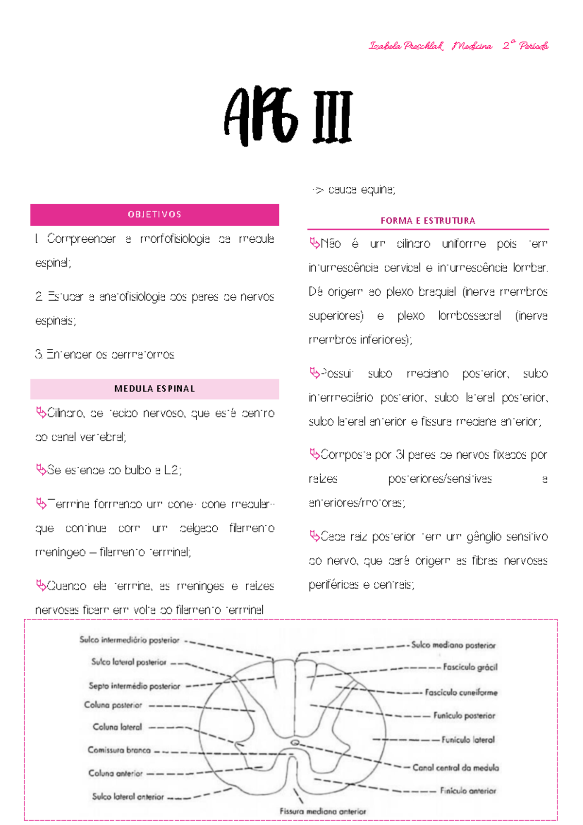APG 3 - Resumo Sistemas Orgânicos Integrados - APG III OBJETIVOS ...