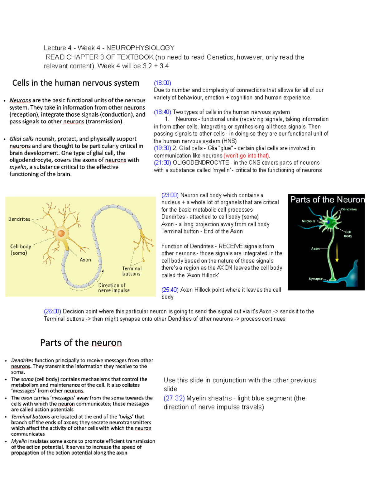 Week 4 - Neurophysiology. The specific details about Neurons and the Human Body System - Lecture ...