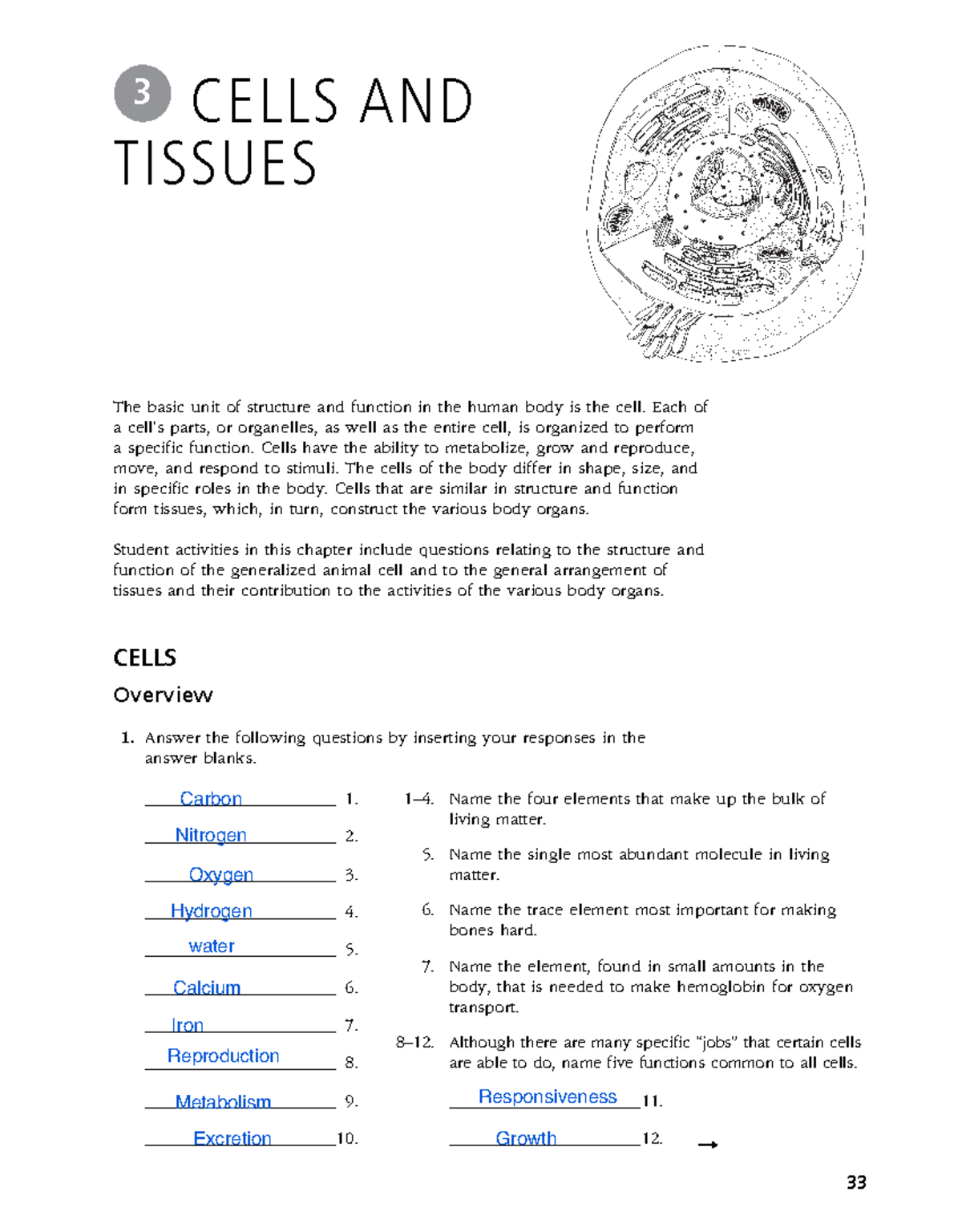 Chapter 3 workbook Cells and Tissues - The basic unit of structure and ...