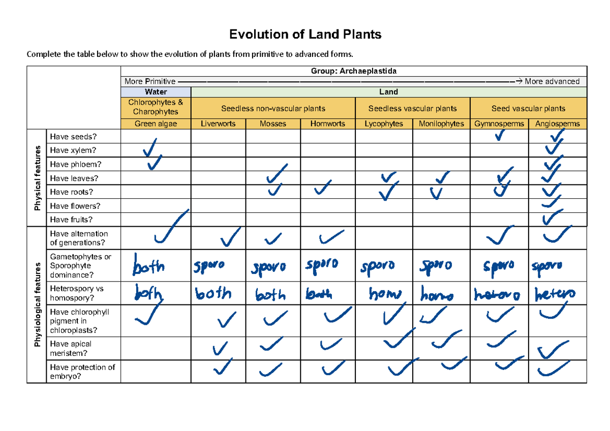 SBCY001+-+Evolution+of+Land+Plants - Evolution of Land Plants Complete ...