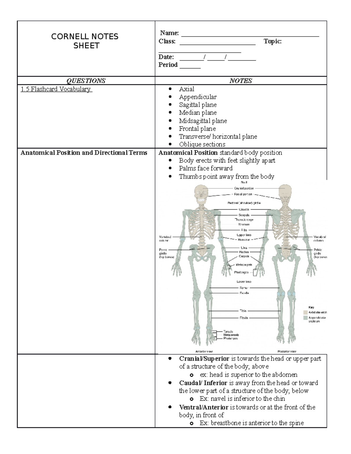 Chapter 1 The Human Body An Orientation 1.5 - CORNELL NOTES SHEET Name ...