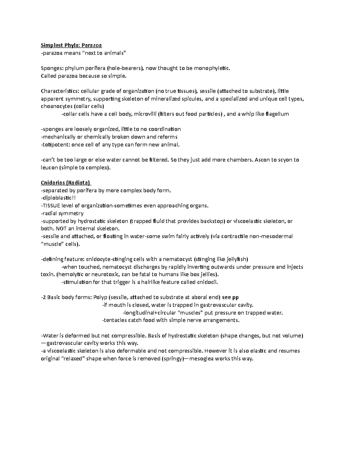 Lecture 6-Animal - for redek - Simplest Phyla: Parazoa -parazoa means ...