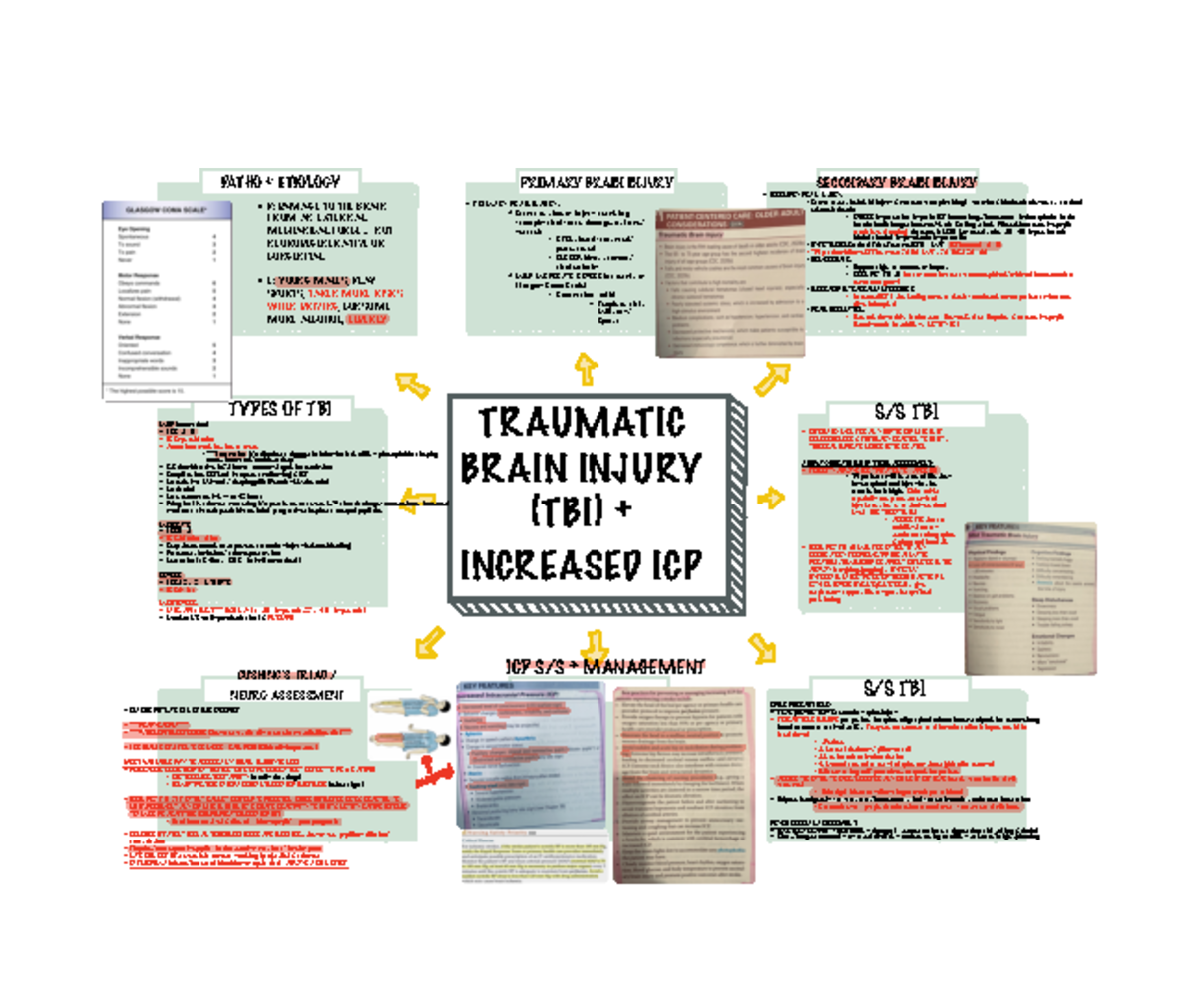 Exam 3 concept maps - Cardiac - B B A pls 8 8 emergency 9 PRIMARY BRAIN ...