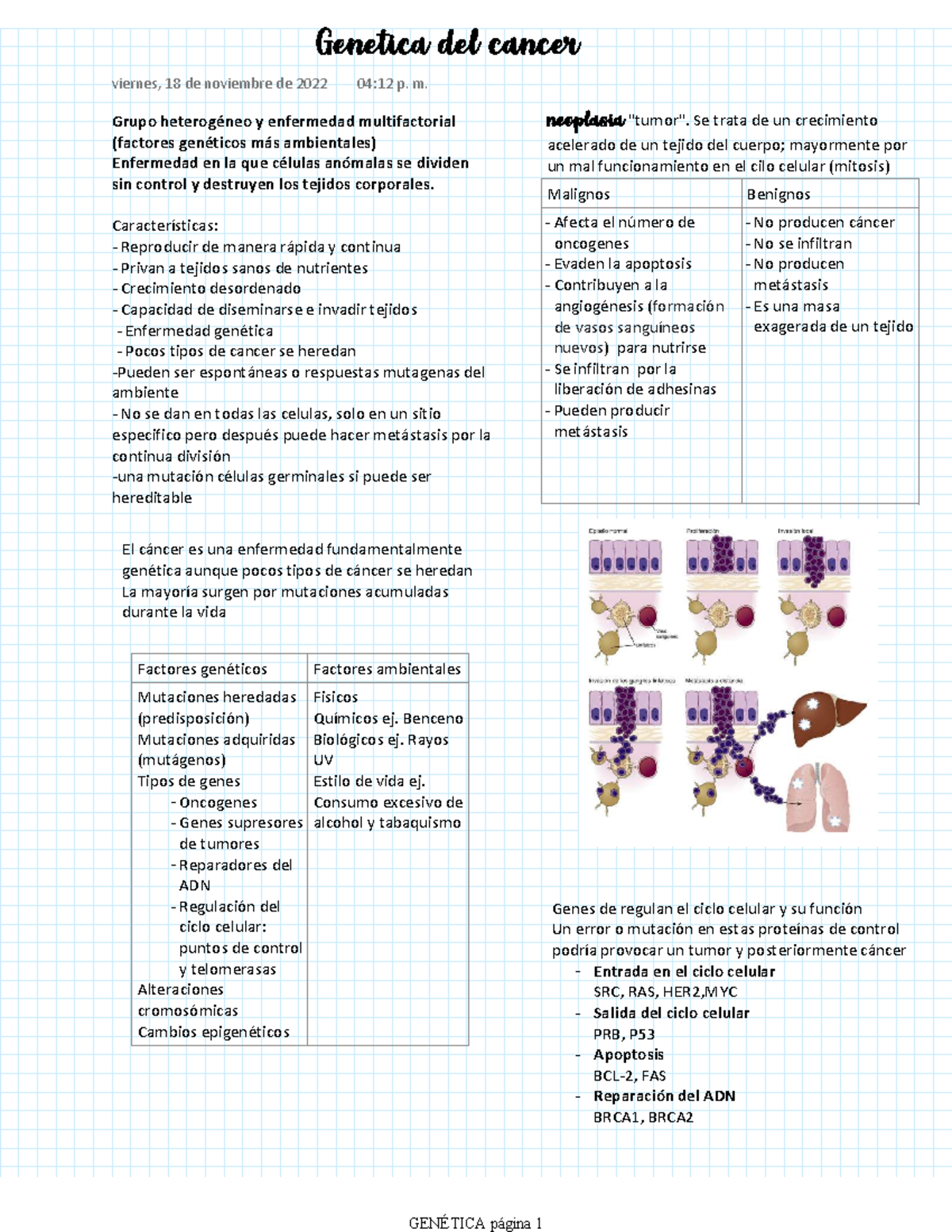 Genética DEL Cáncer - genetica del cancer - Grupo heterogéneo y ...
