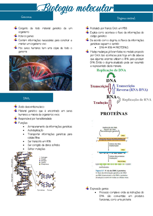 Resumo de Introdução à Bioquímica - Bioquímica composição química da ...