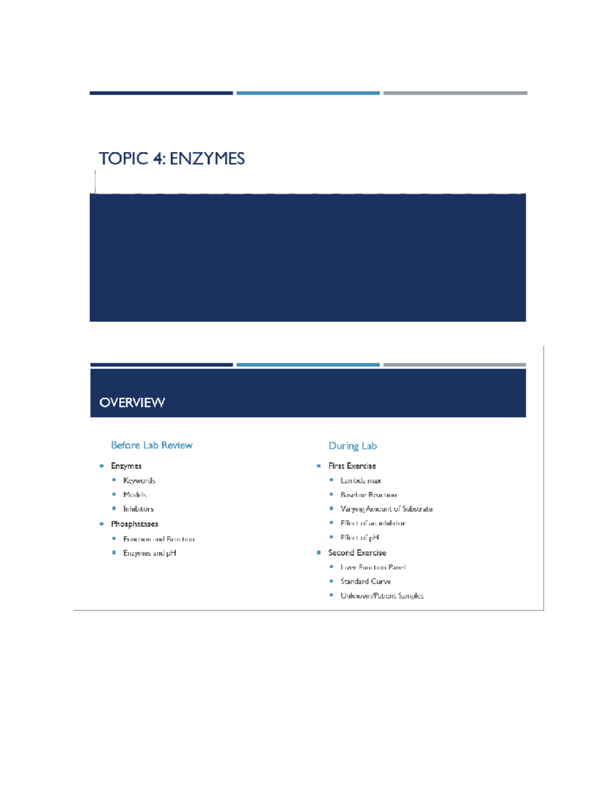 Ch. 4 Lab - Camille Lab - BIOL 1107 - Studocu