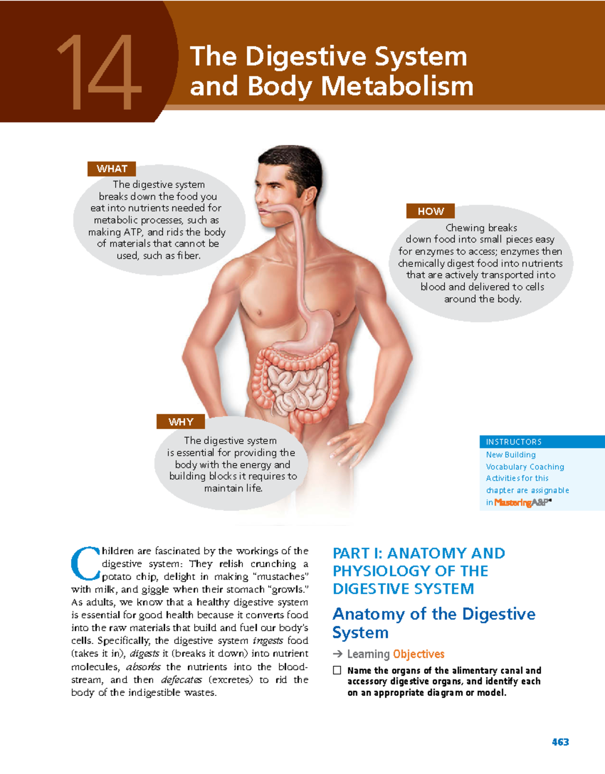 Essentials of human anatomy physiology by Keller Suzanne M - 463 ...