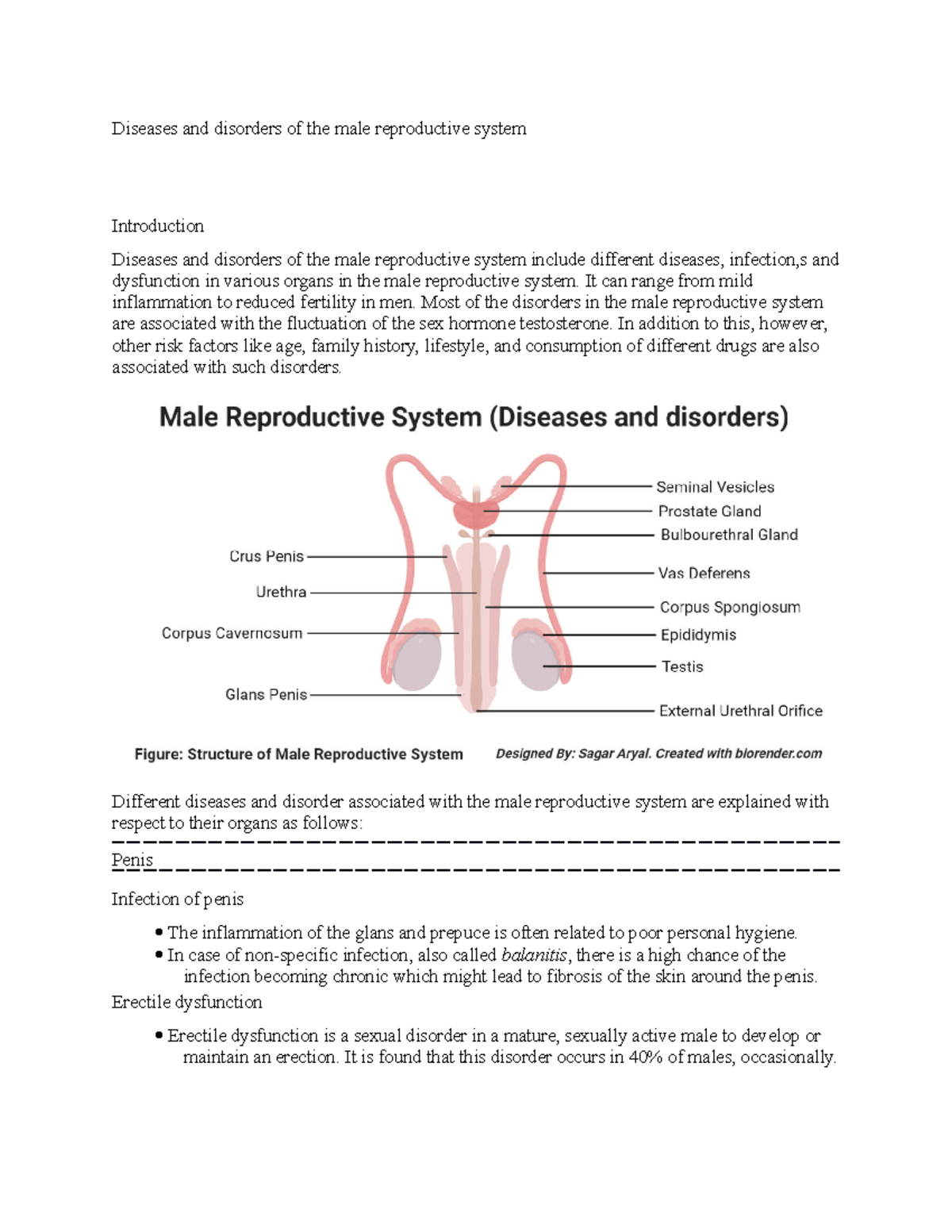 Diseases and disorders of the male reproductive system - Diseases and ...