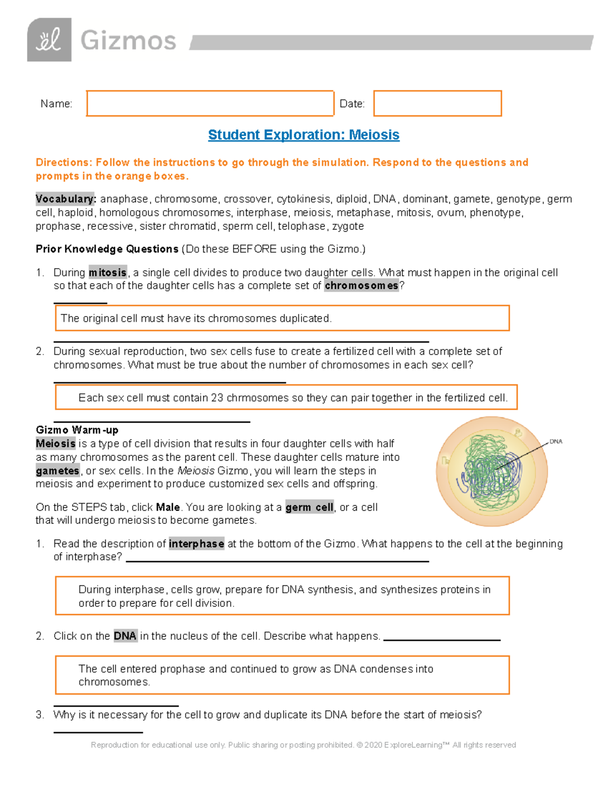 U3LS3 Meiosis Gizmo - Illustrates the process of forming gametes - Name ...