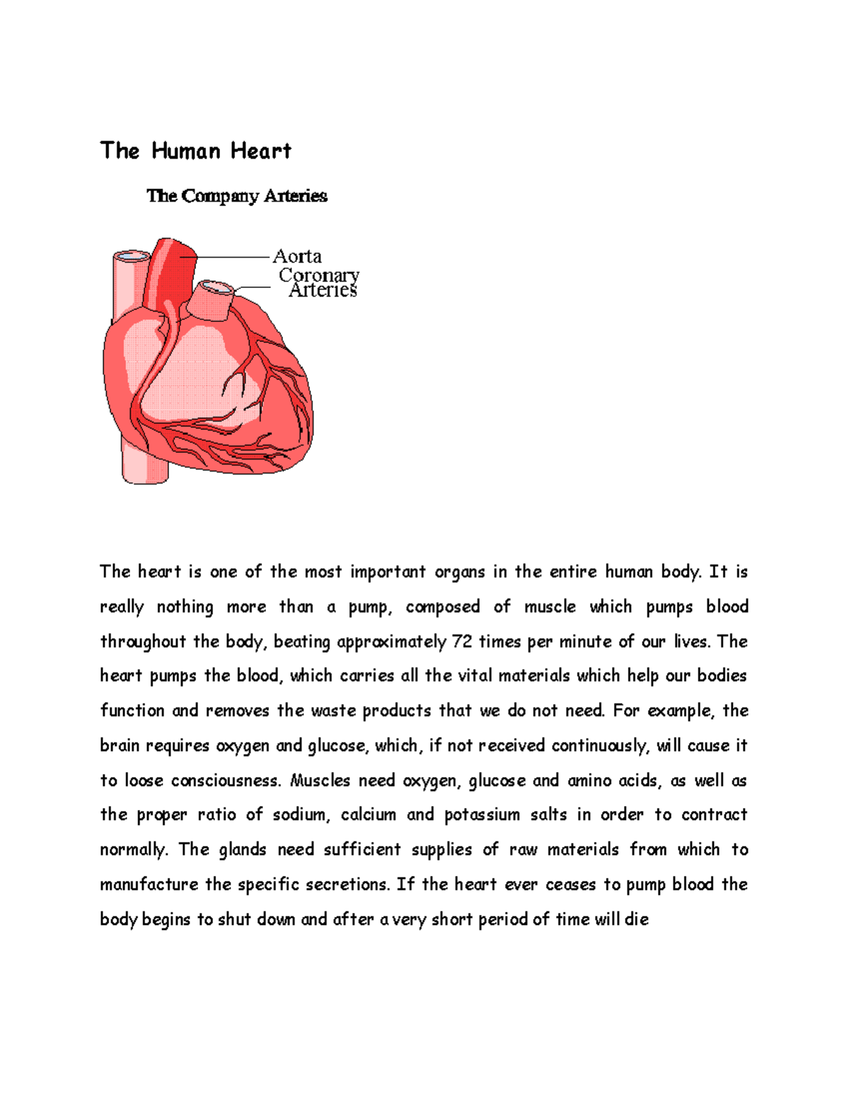 The Human Heart anatomy and physiology - The Human Heart The heart is ...