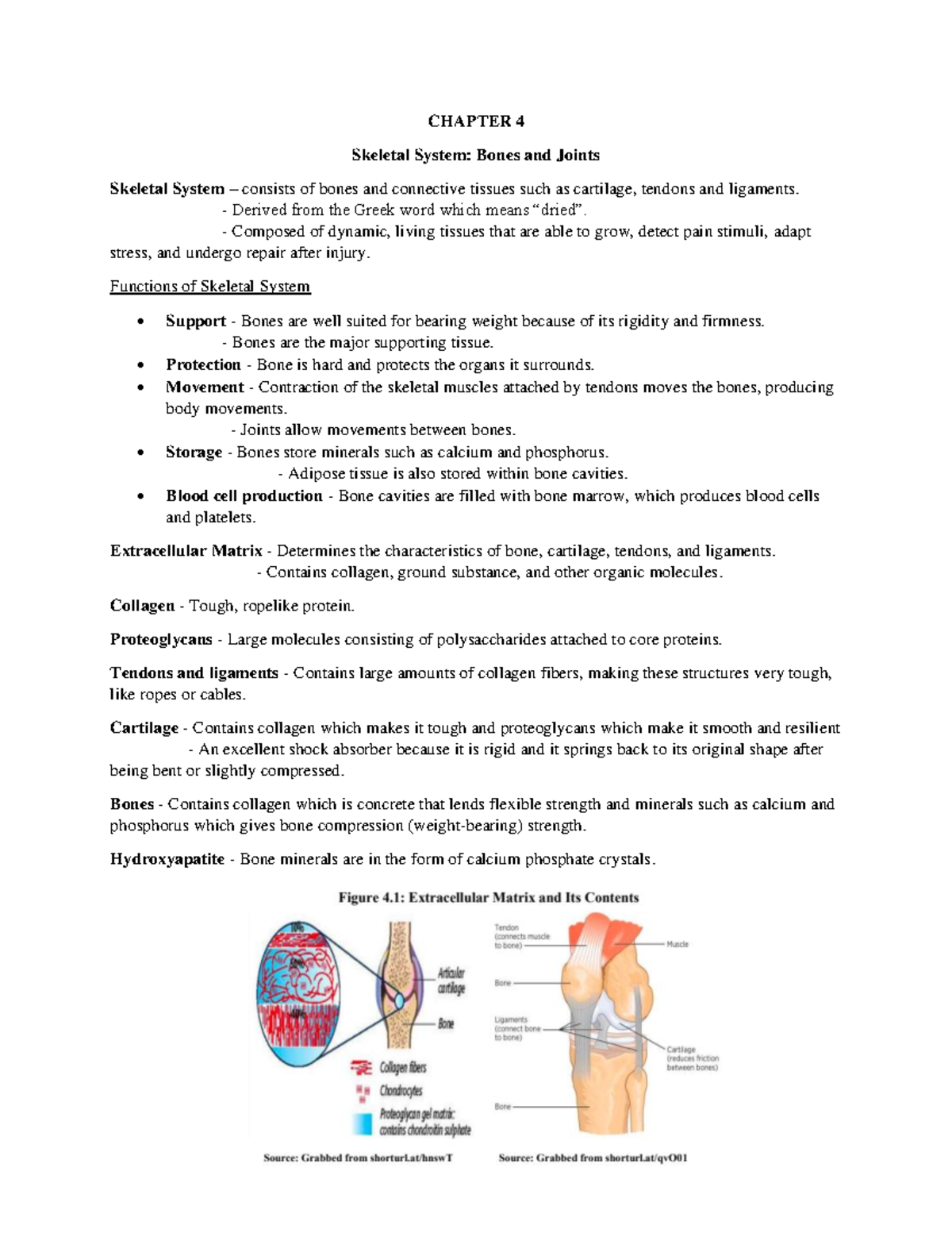 mtbio-1lesson-4-bsmt-chapter-4-skeletal-system-bones-and-joints