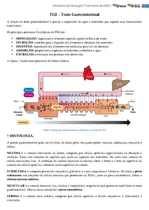 Fisio - Resumo TGI - Material de estudo - FISIOLOGIA GASTROINTESTINAL ...