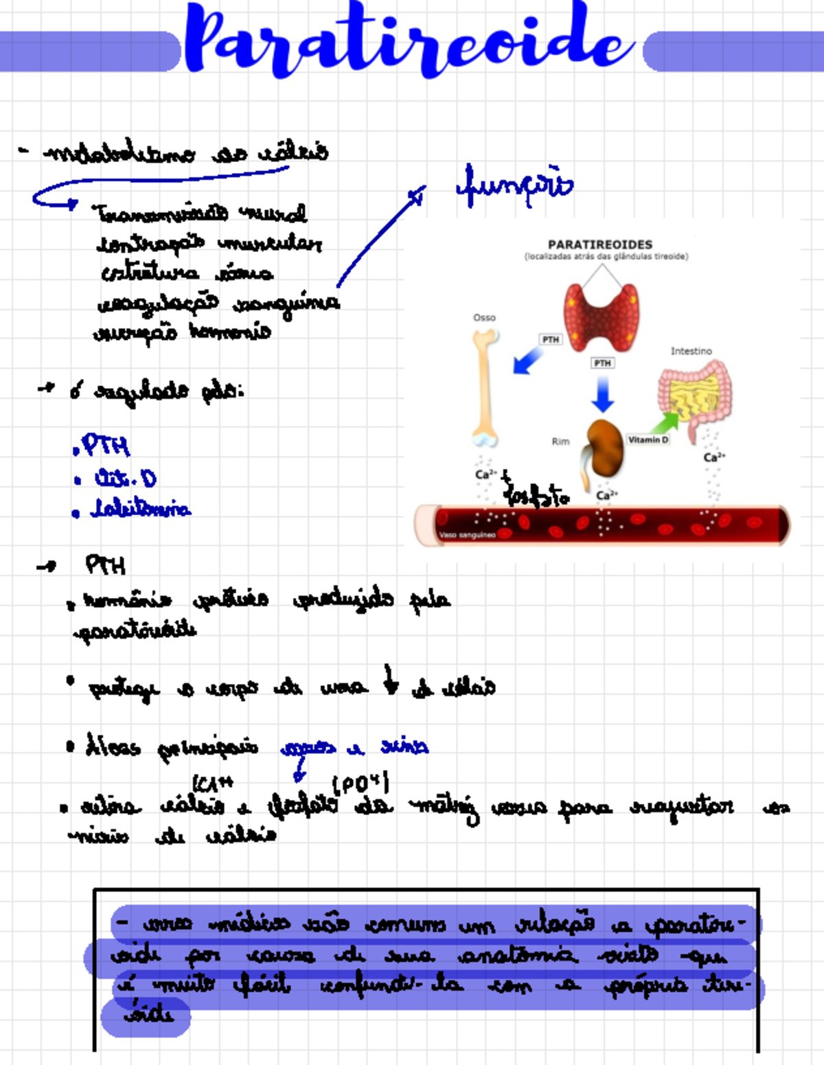 APG Paratireoide - Resumo sistemas orgânicos integrados - metabolizado ...