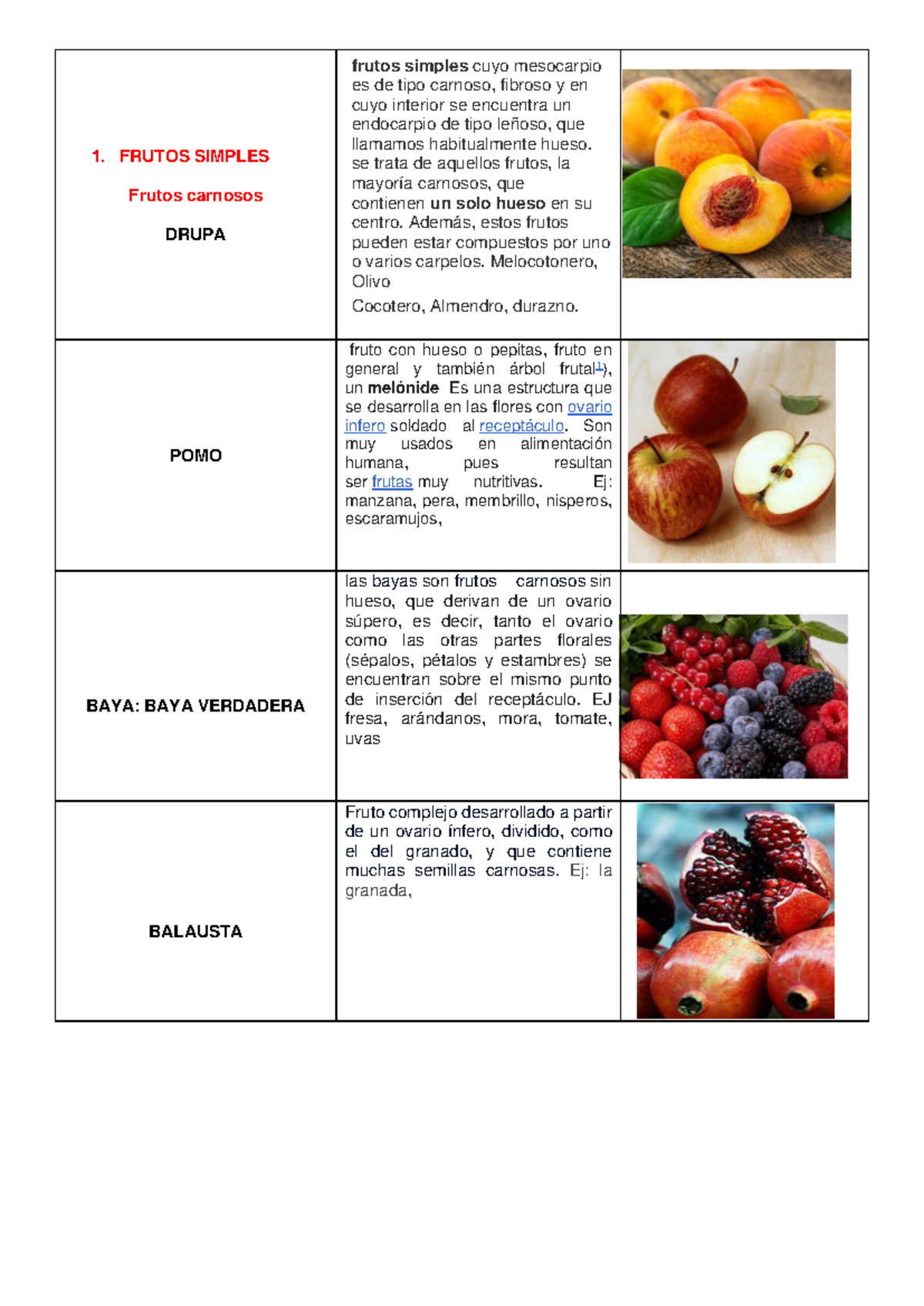 Clasificacion DE LOS Frutos - 1. FRUTOS SIMPLES Frutos carnosos DRUPA ...