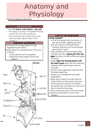 206- Bones - Reviewer - Axial Skeleton Skull (Cranium/Cranial) = 8 ...