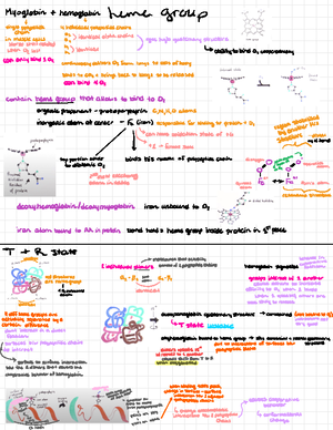Amino Acids - 20 AAS Nonpolar (Hydrophobic ) Polar ( Hydrophilic) Basic ...