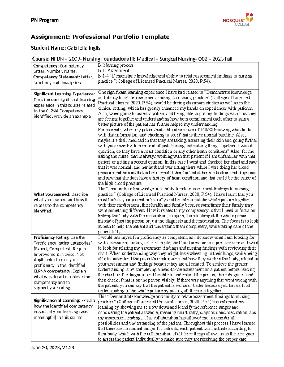 Professional Portfolio Template. V1.23 #1 Gabbie Inglis - PN Program ...