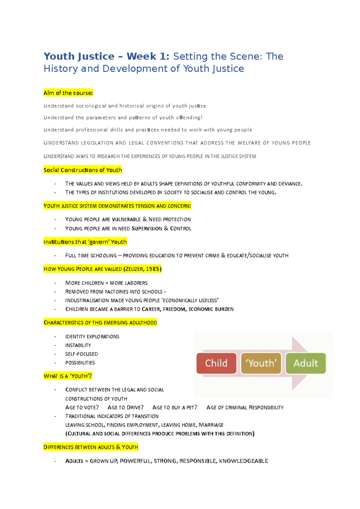 Youth Justice - Week 1, (Youth Justice - Week 1) - Youth Justice – Week ...