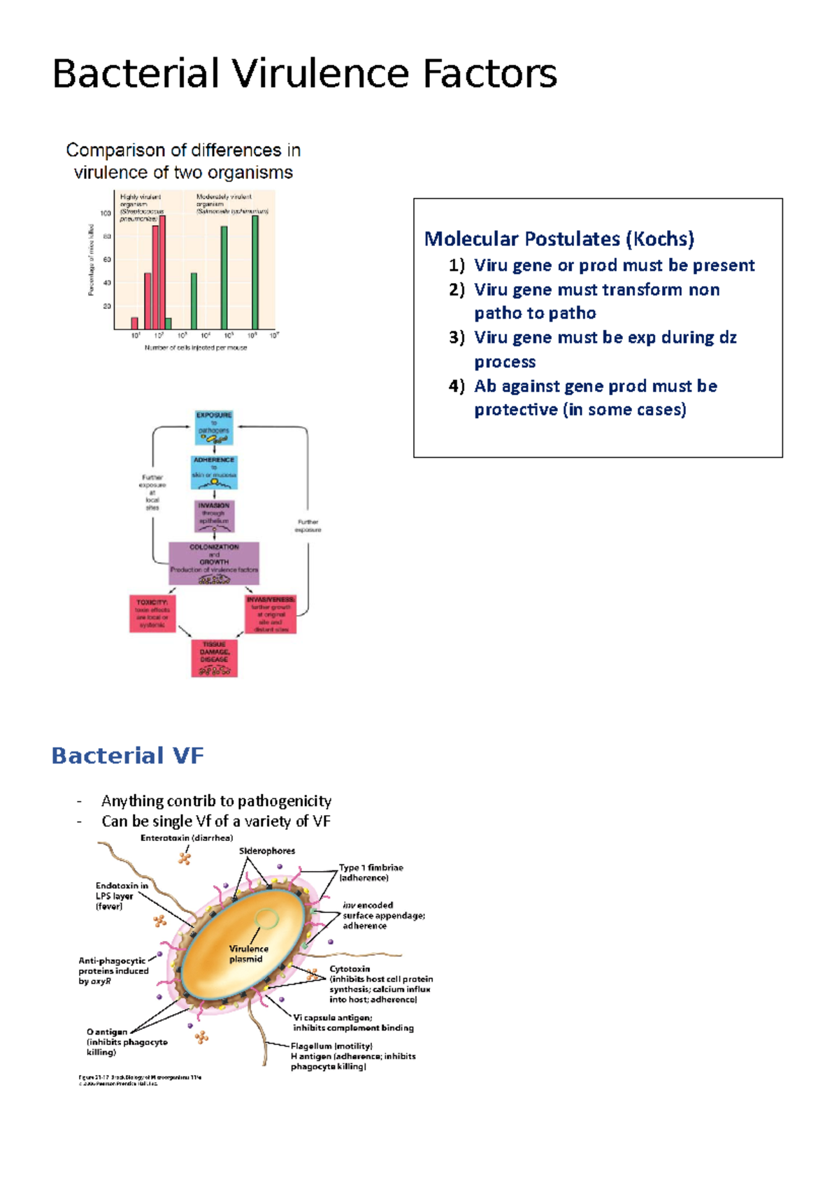 Bacterial Virulence Factors - Bacterial Virulence Factors Bacterial VF ...
