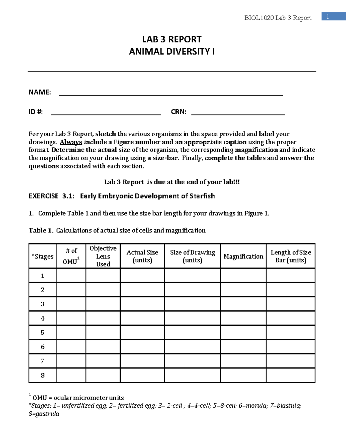 Lab 3-Lab Report S2023 - LAB 3 REPORT ANIMAL DIVERSITY I NAME: ID #: CRN: For your Lab 3 Report ...