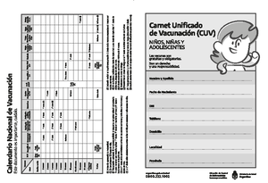 APS- niveles - resumo de APS - APS APS: es la atención asistencia ...