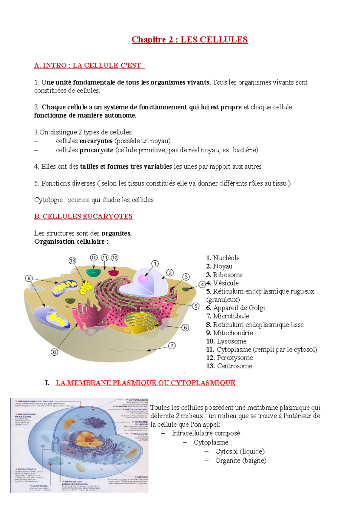 Chapitre 2 Les cellules - Chapitre 2 : LES CELLULES A. INTRO : LA ...