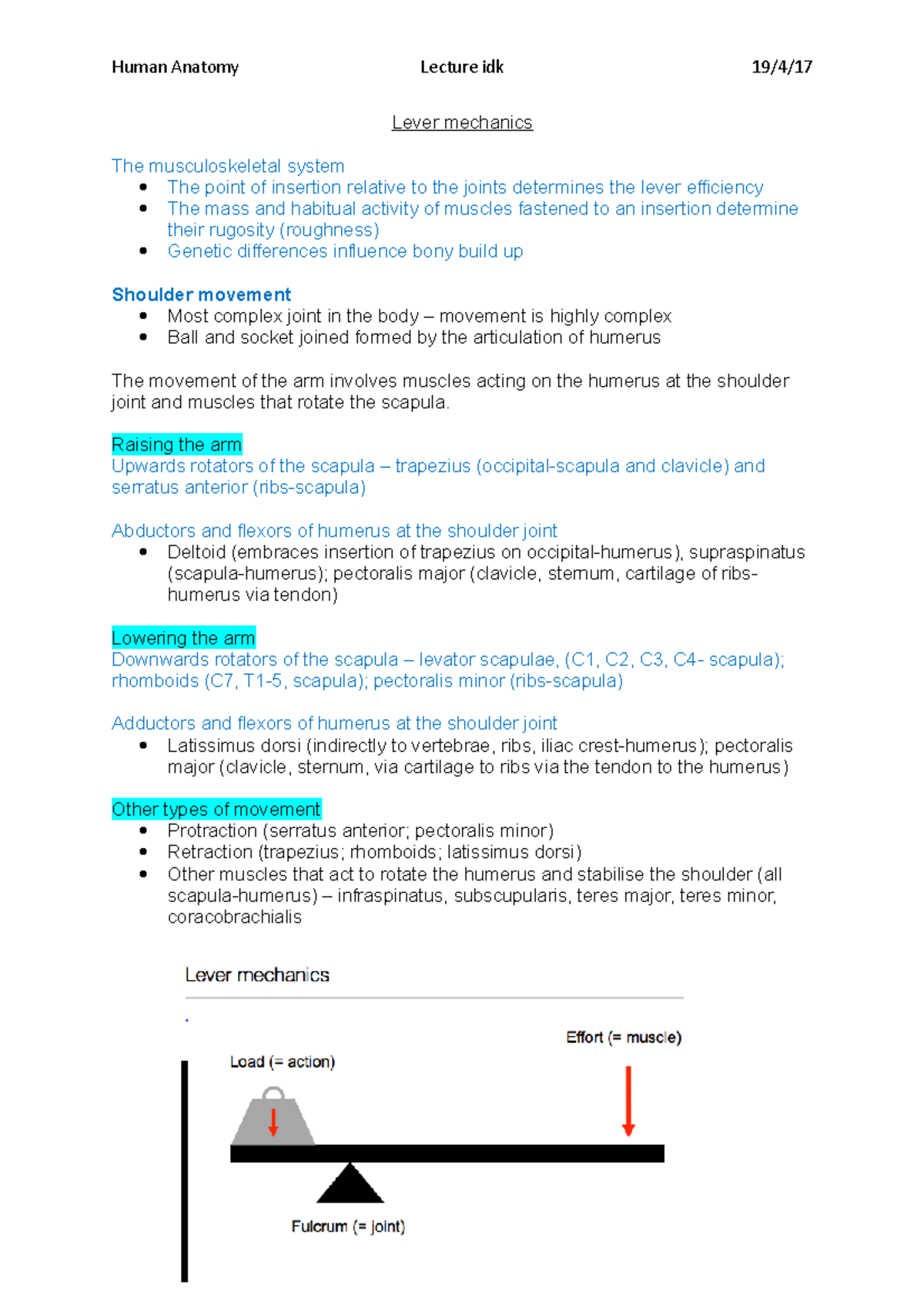 Lever mechanics - Lecture notes 3 - Human Anatomy Lecture idk 19/4/17 ...