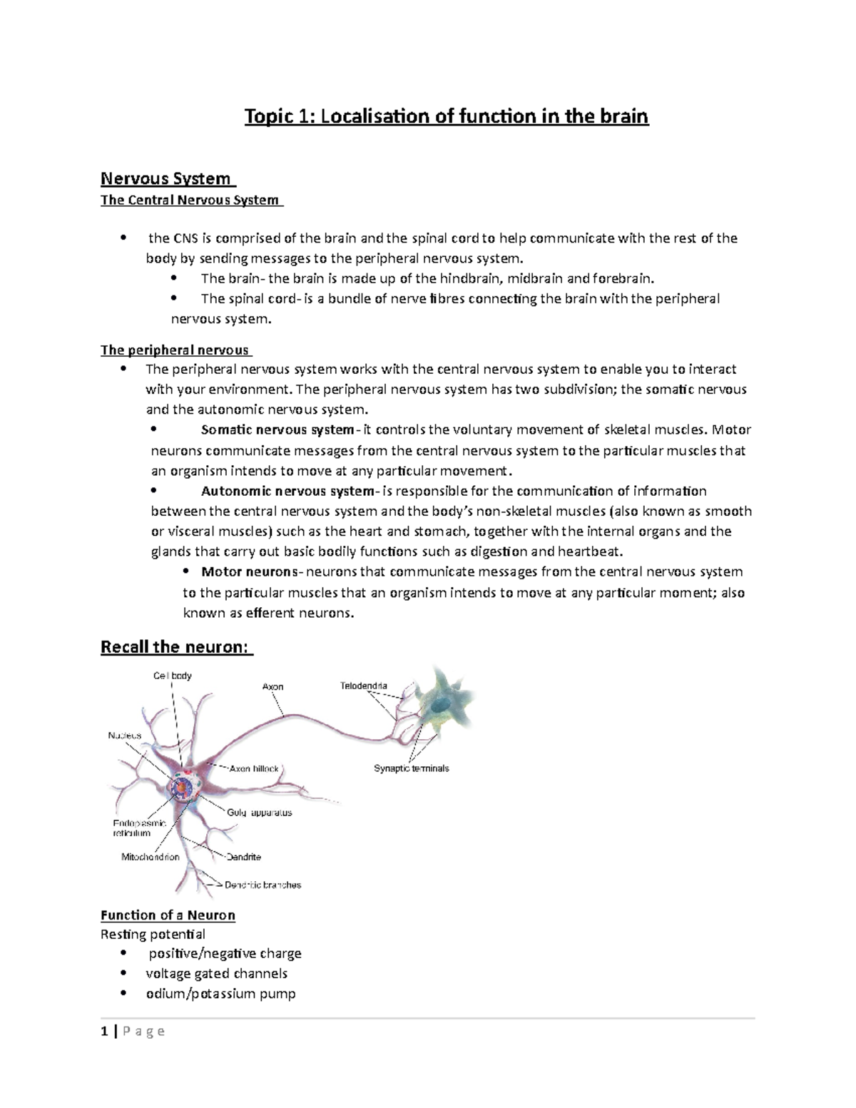 Topic 1 unit 3- localisation of the brain- Atarnotes - Topic 1 ...